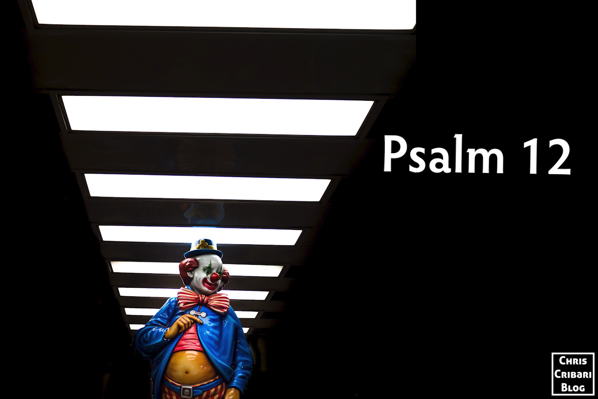 Psalm 12 – chris cribari blog