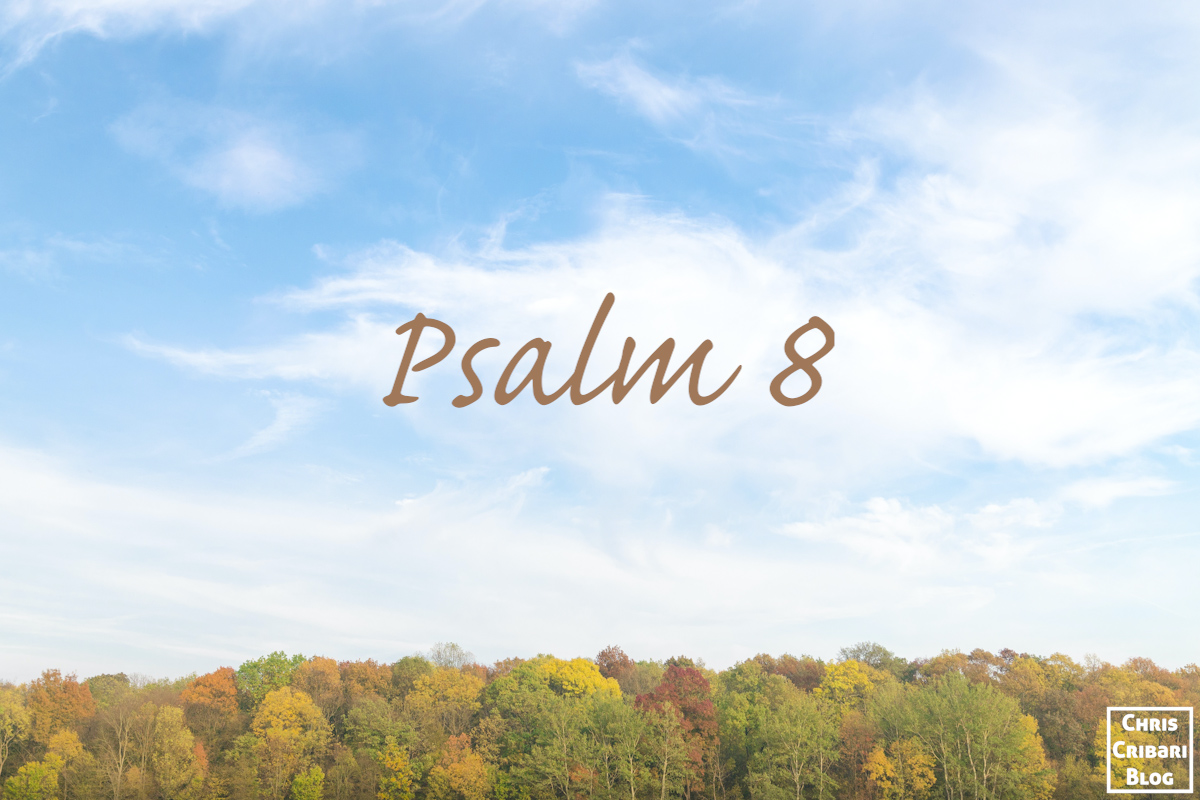 Psalm 8 – chris cribari blog