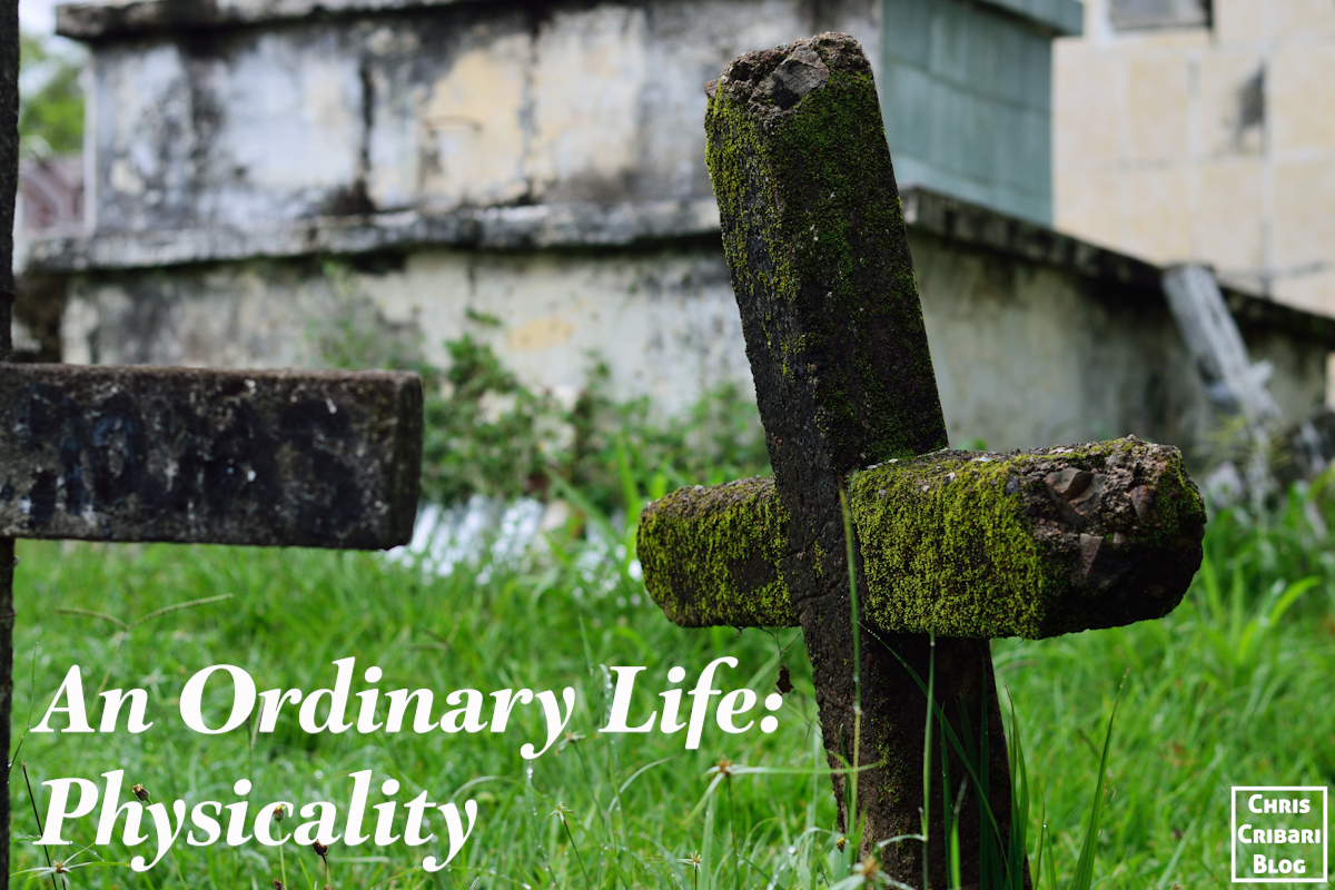 An Ordinary Life: Physicality | 8-22-2021 – chris cribari blog